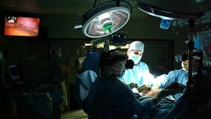 Bee Surgical ו-Endobetix הישראליות מגייסות 2.5 מיליון שקל כל אחת [גיוס ...